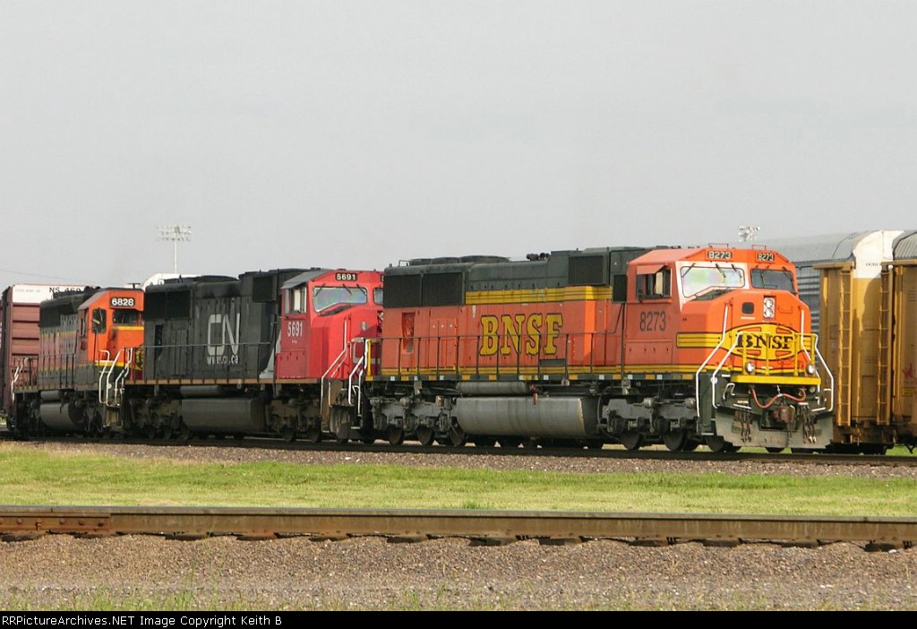 BNSF 8273
